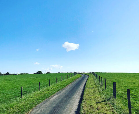 Our Services - Avenue Roading Limited